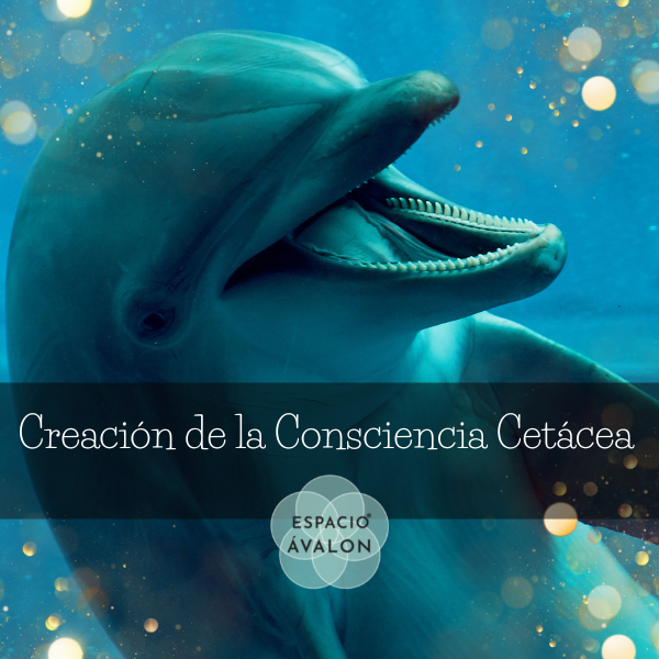 Creación de la Consciencia Cetácea - Espacio Avalon